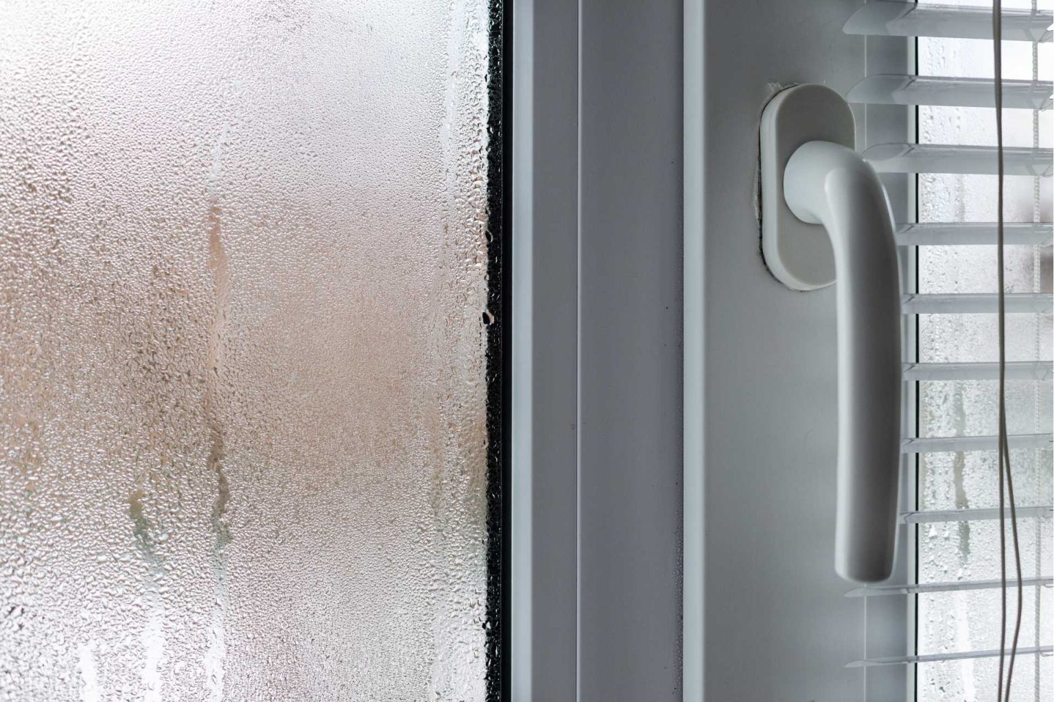 How to Deal with Condensation on Your Windows - The Bump